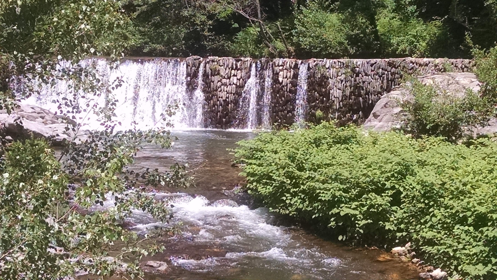Baignade en rivière | le mas du bois barbeau